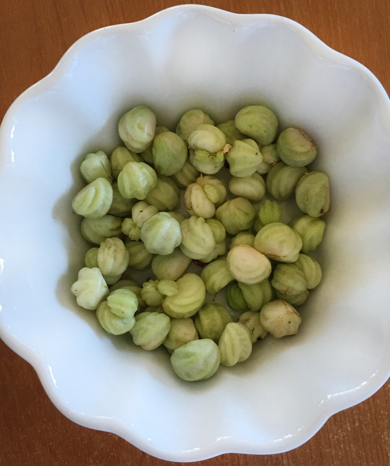 Nasturtium Capers – IL Fiorello